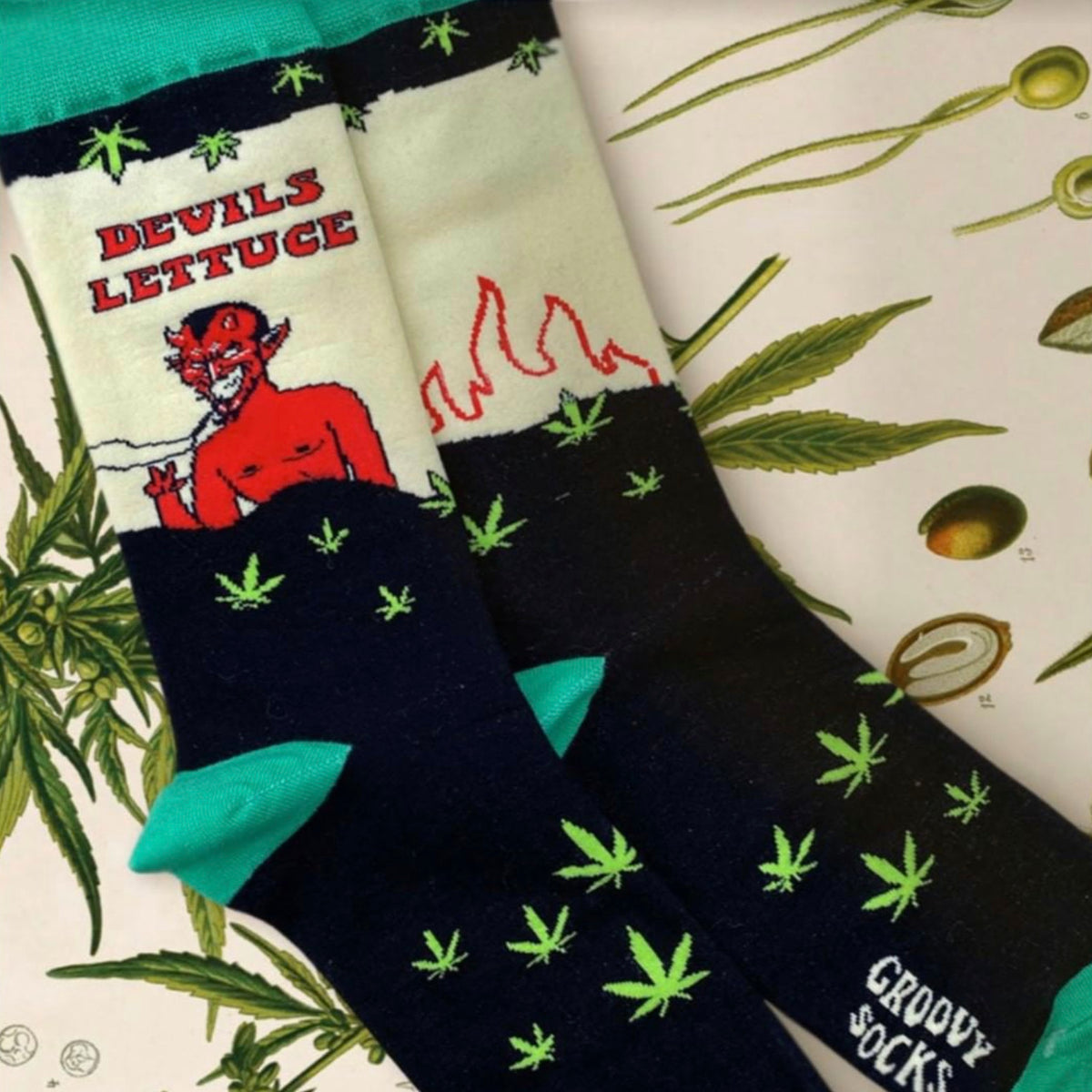 100 + Funny Socks for Men and Women. Step Up Your Sock Game! – Forest Ink